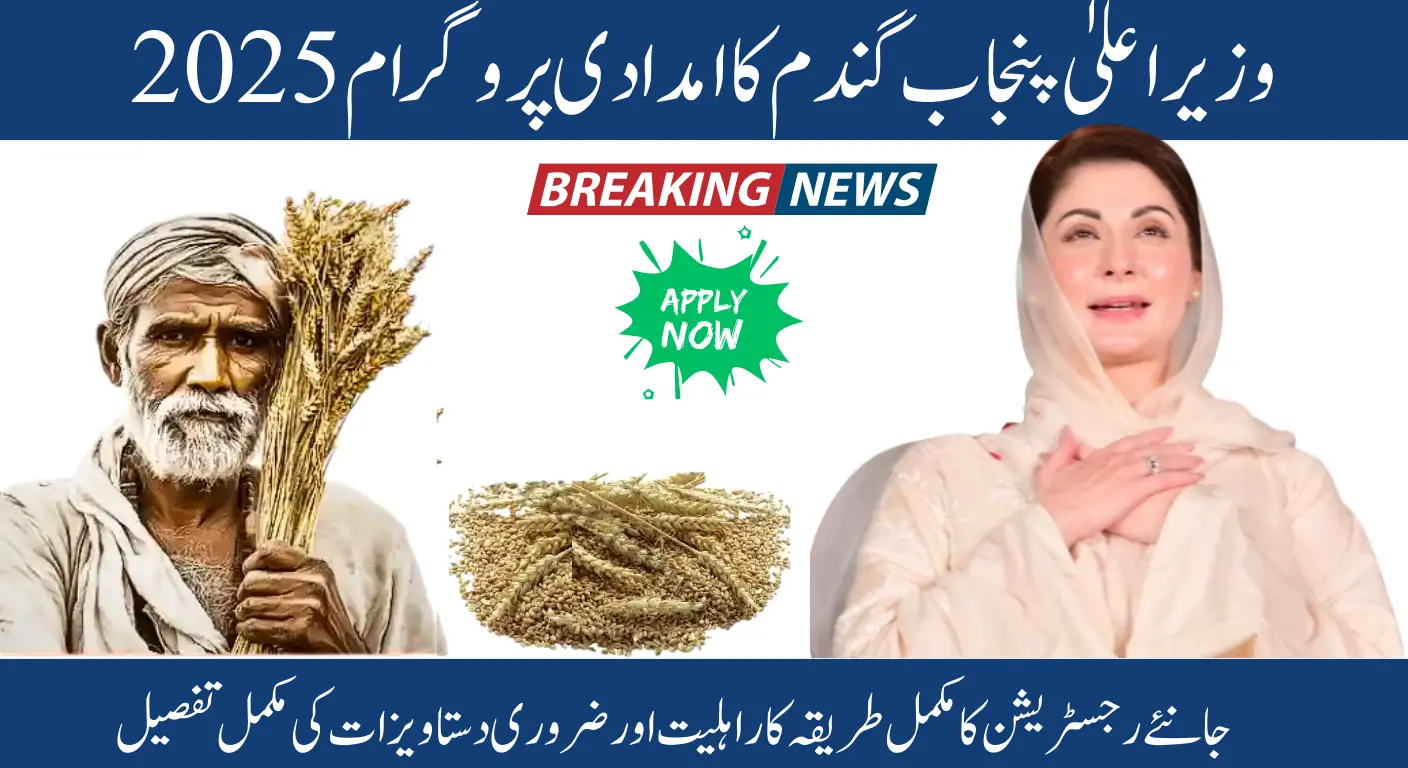 Chief Minister’s Wheat Support Program 2025 Full Details