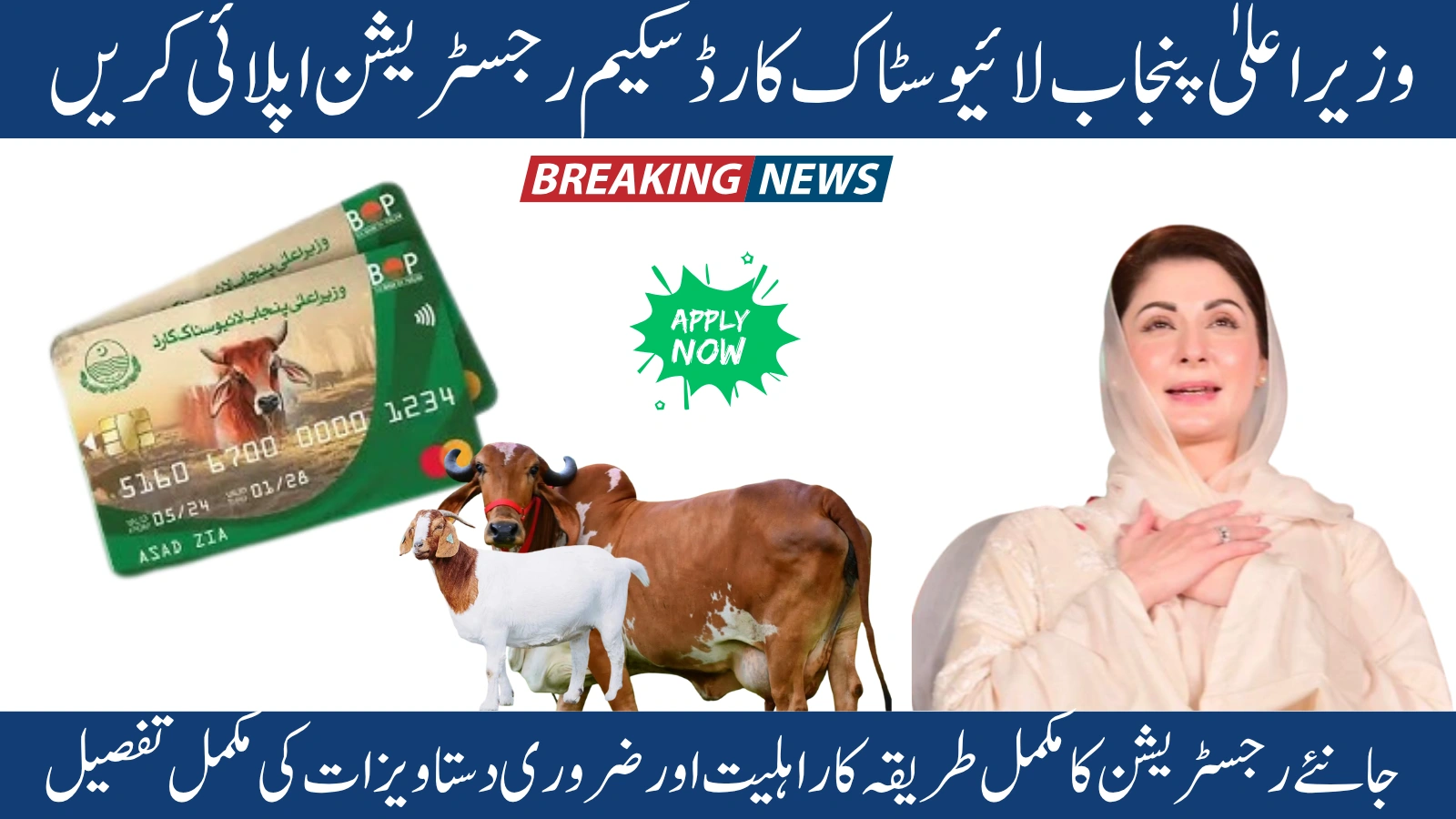 Punjab Livestock Card 2025 online Apply for get Free Loan